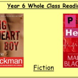 Yr 6 Whole Class Reading Pig Heart Boy - The Teach Hub