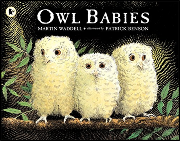 Reception Whole Class Reading Owl Babies - The Teach Hub